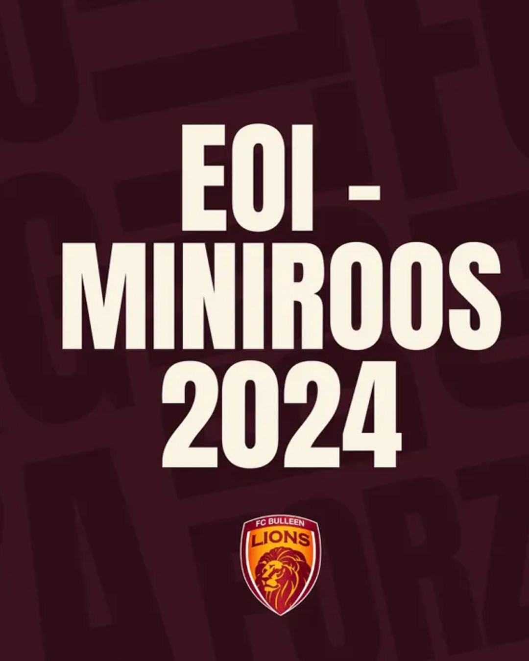 Miniroos-EOI – FC Bulleen Lions
